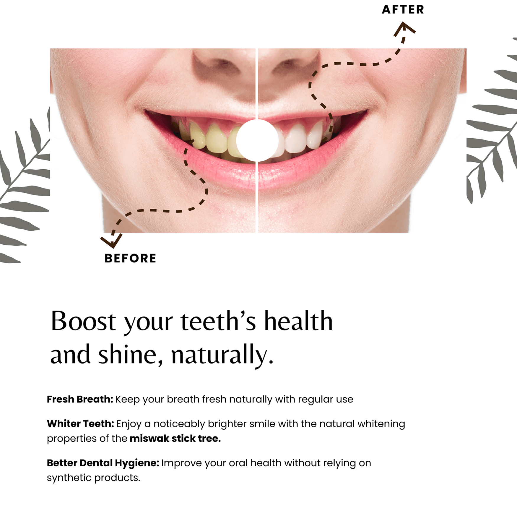 The Miswak Stick - Natural Miswak Toothbrush