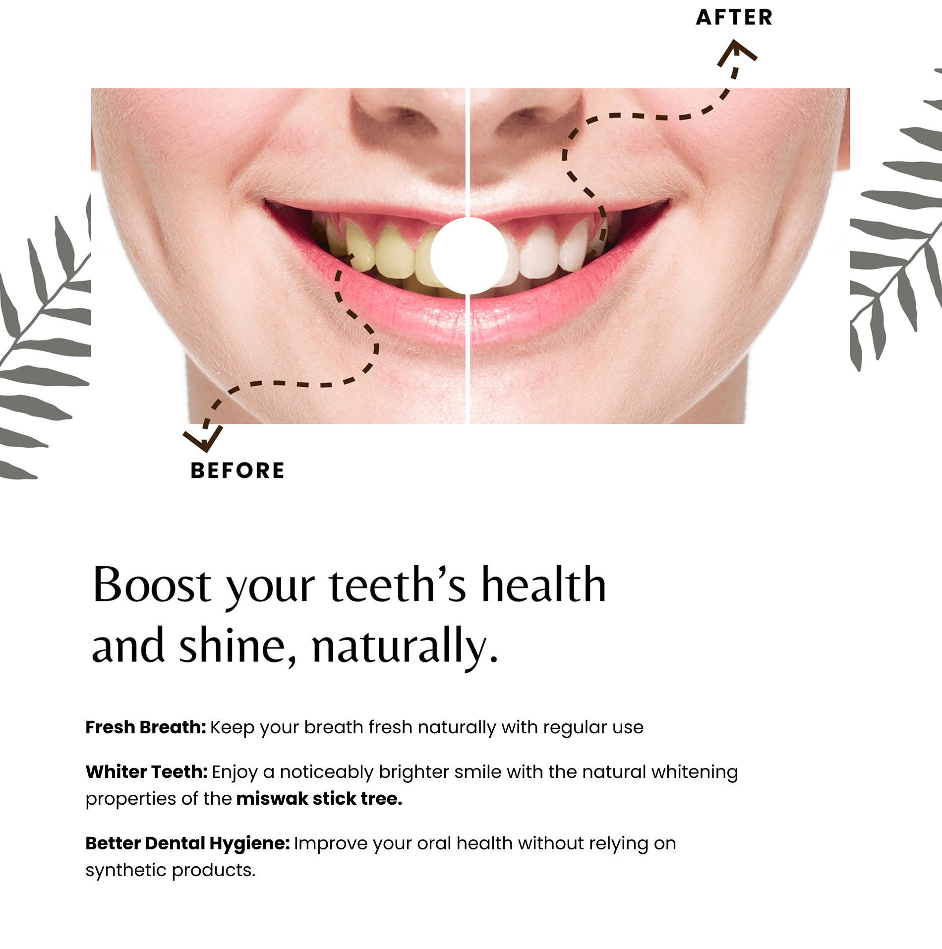 The Miswak Stick - Natural Miswak Toothbrush